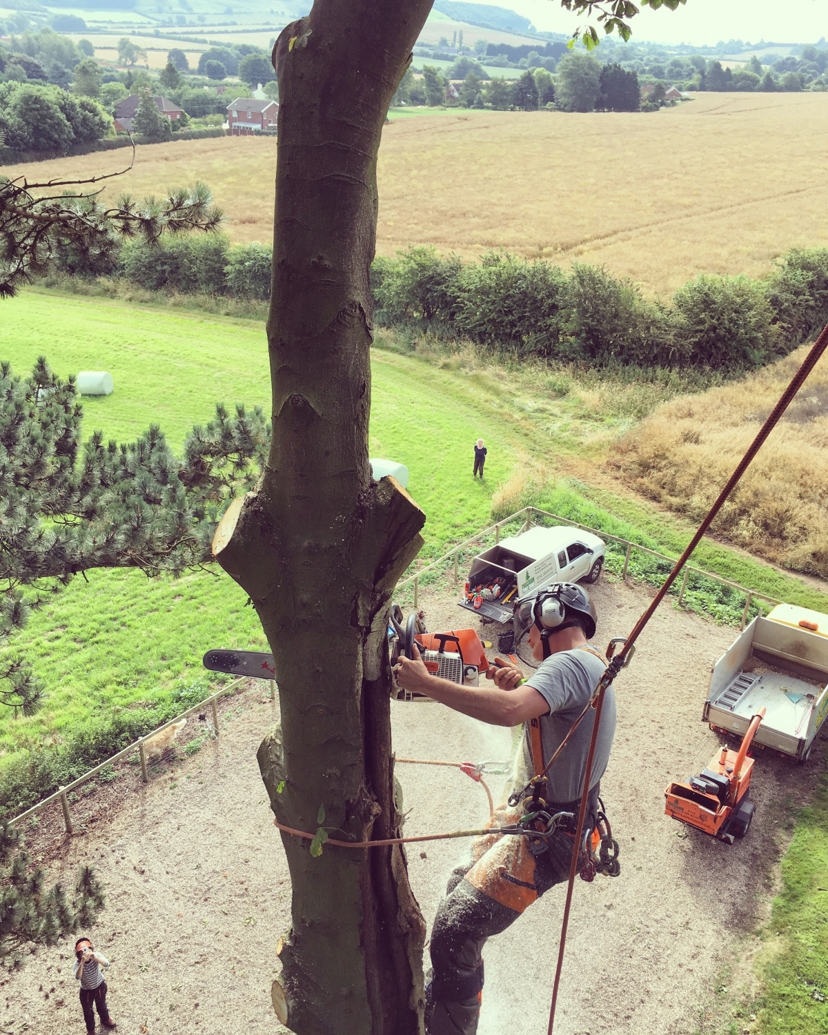 Atkinson Arb - Professional Tree Surgery - Lincolnshire