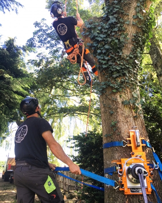 Atkinson Arb - Professional Tree Surgery - Lincolnshire