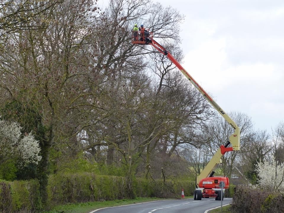 Organising Traffic Management - Atkinson Arb - Professional Tree Surgery