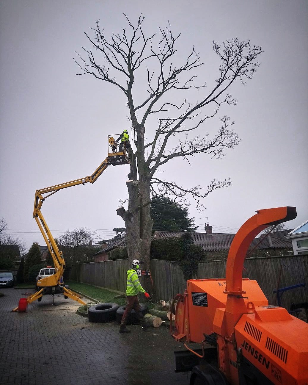 Atkinson Arb - Professional Tree Surgery - Lincolnshire