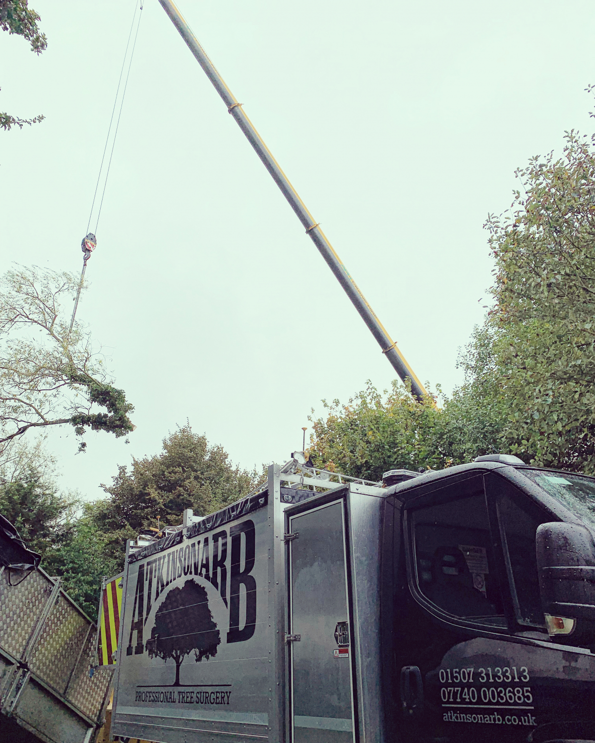 Atkinson Arb - Professional Tree Surgery - Lincolnshire